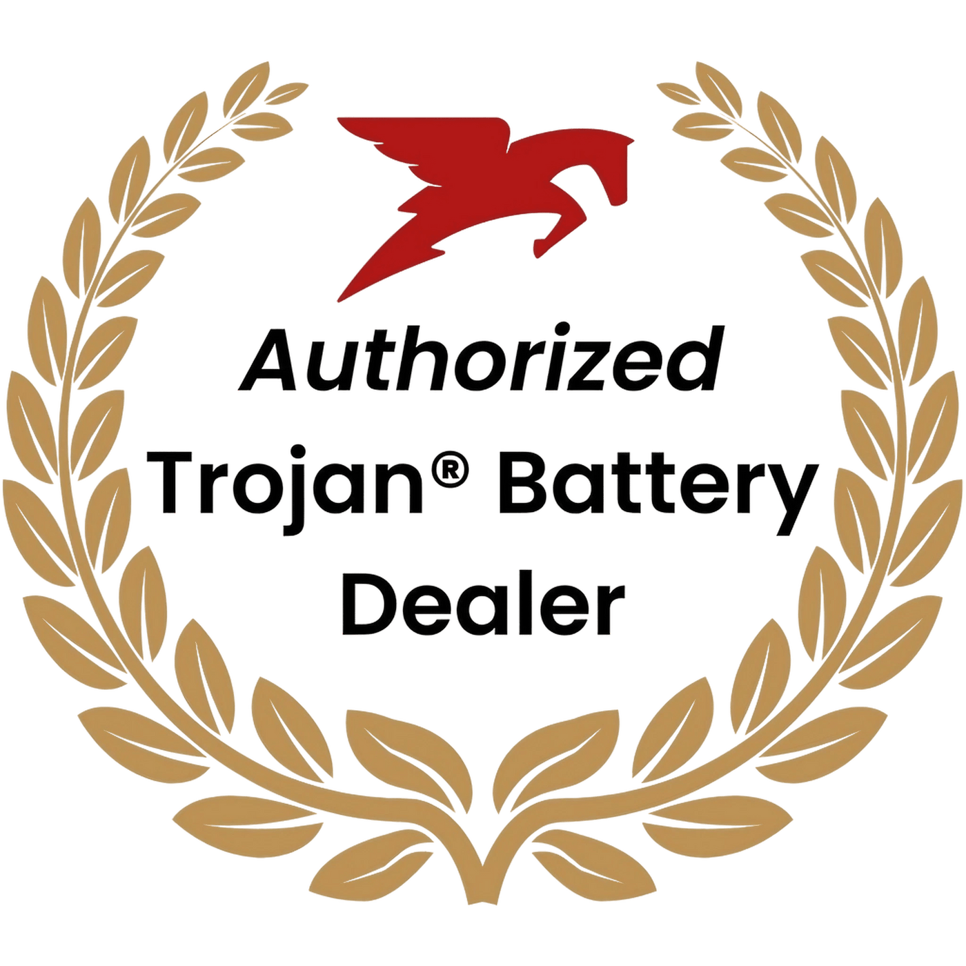 Trojan® 8V Golf Cart Battery Combo: T-875 (6 Pack, 48V) — GOLFCARTSTUFF ...